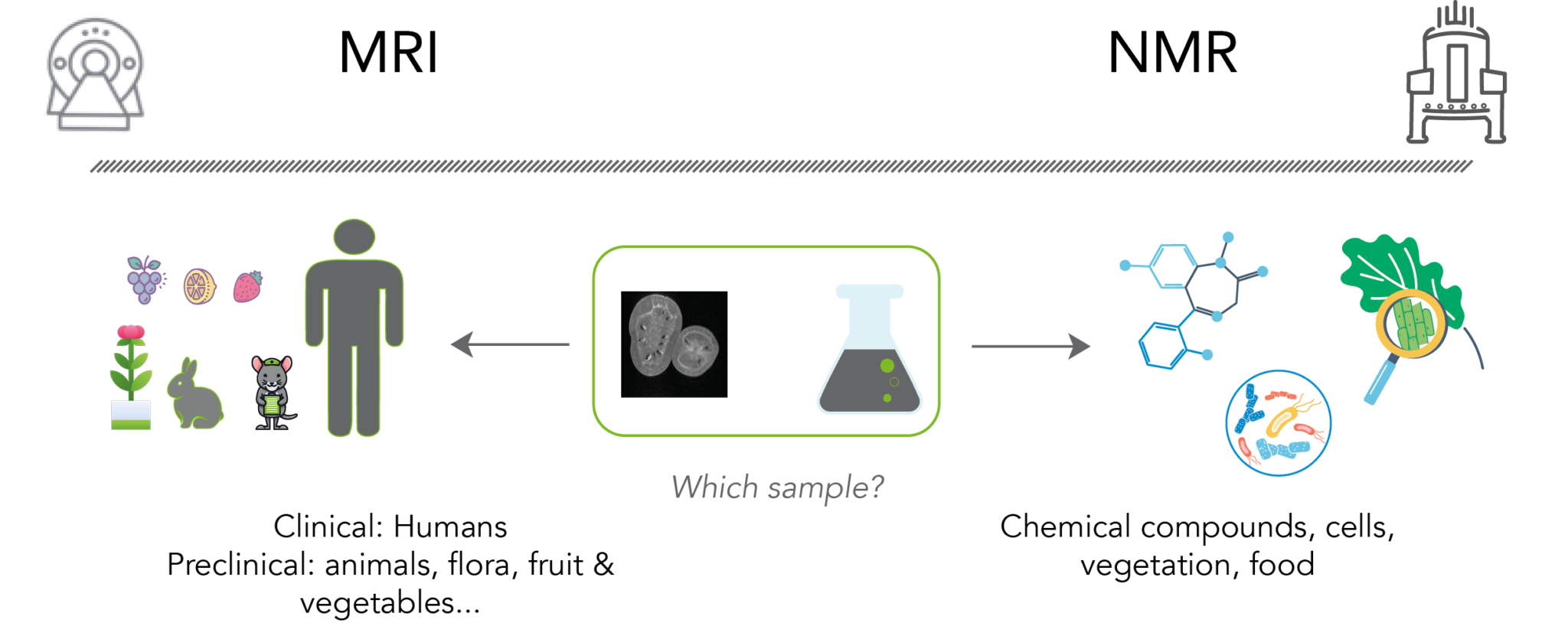 NMR and MRI samples – RS2D
